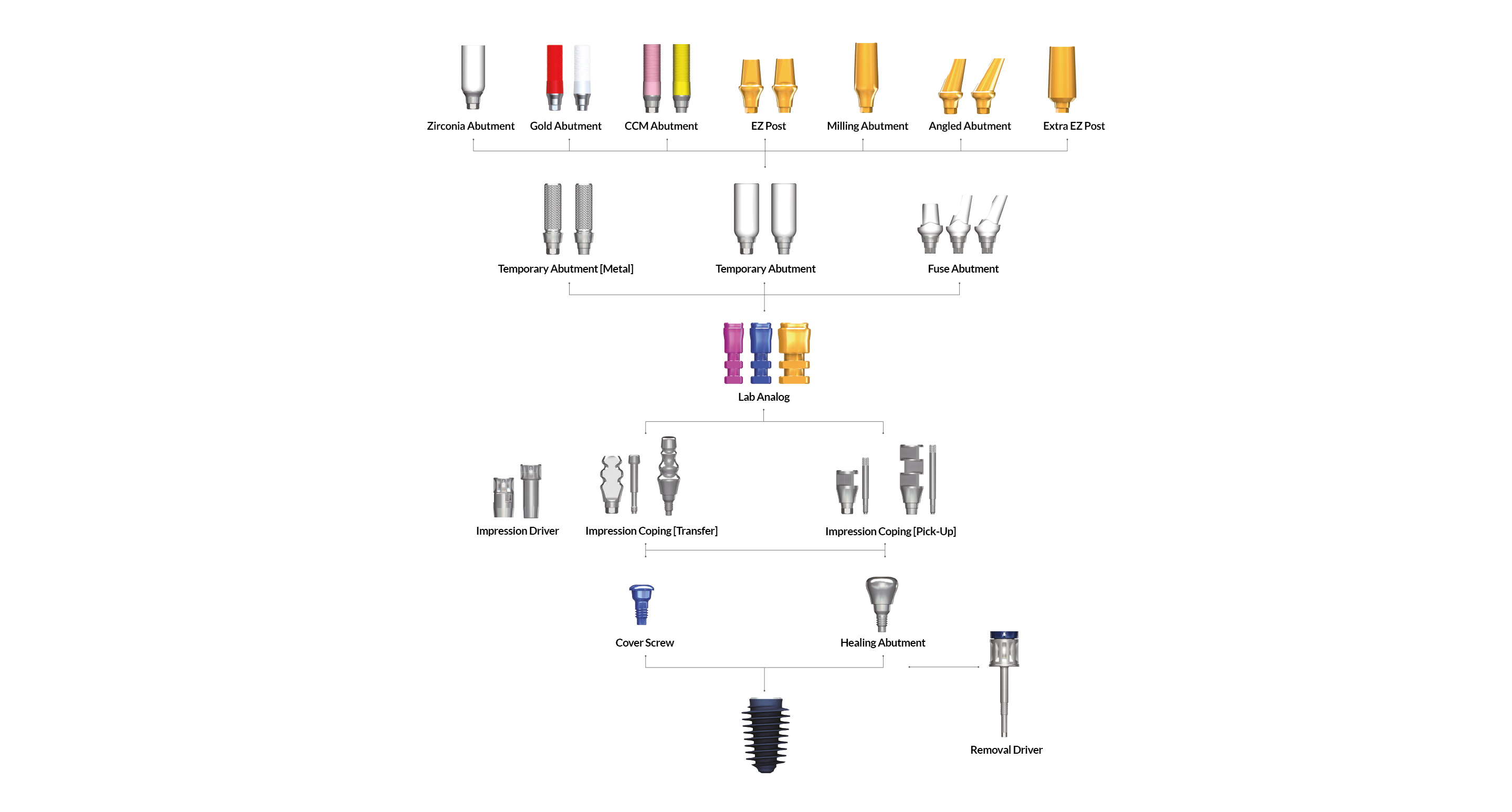 Prosthetic | Megagen