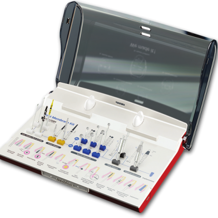 Regeneration | Megagen