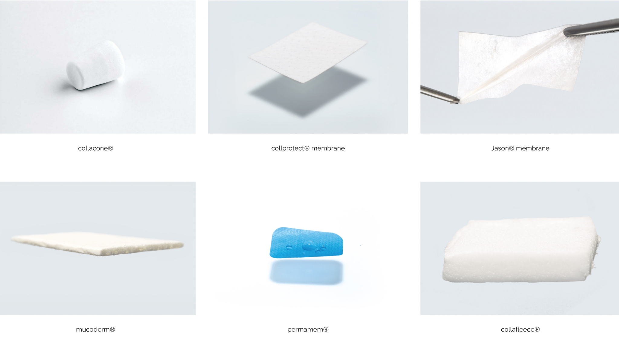 Soft tissue | Megagen